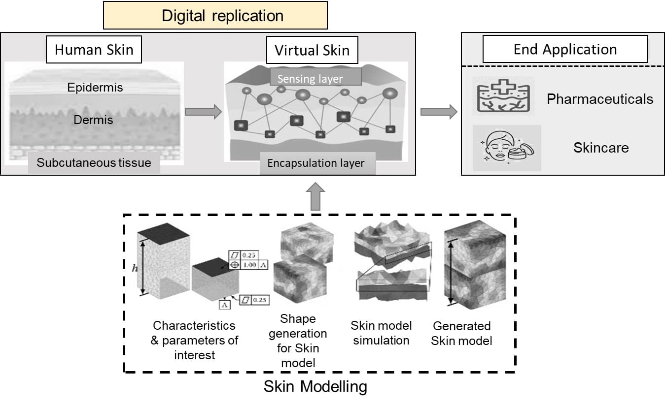 Digital Skin Twin: Advancements and Challenges | stellarix