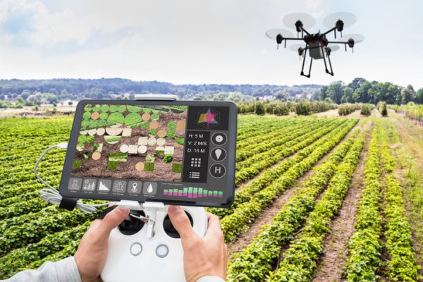 Drones in Agriculture Optimizing Farming | stellarix