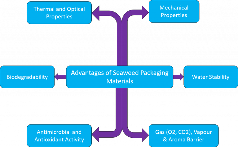 Sea to Shelf: Seaweed Packaging Redefining Food | stellarix