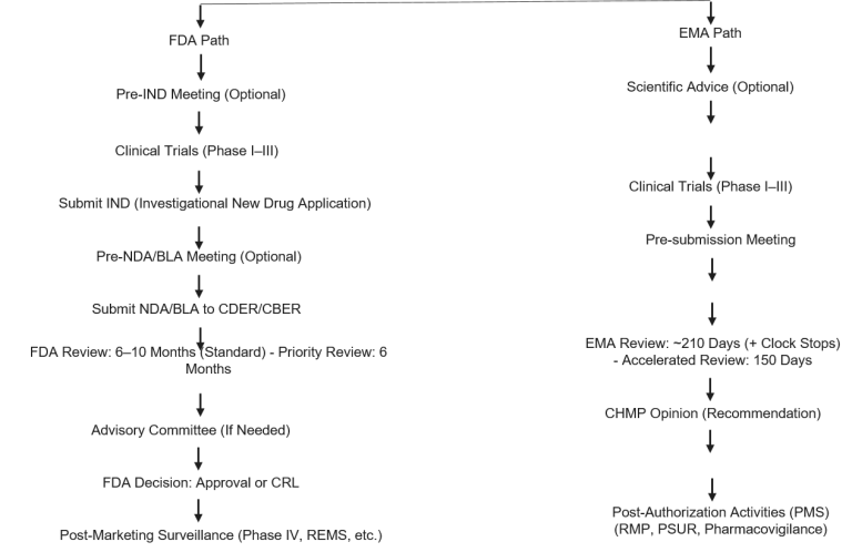 Navigating Global Regulatory Challenges in Pharma: 2025 and Beyond ...