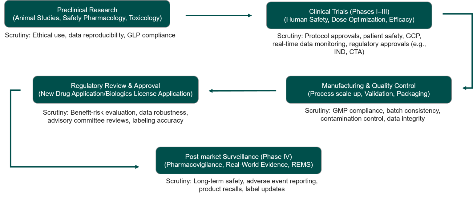 Navigating Global Regulatory Challenges in Pharma: 2025 and Beyond ...