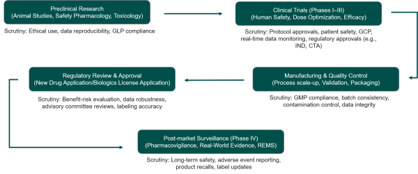 Navigating Global Regulatory Challenges in Pharma: 2025 and Beyond ...